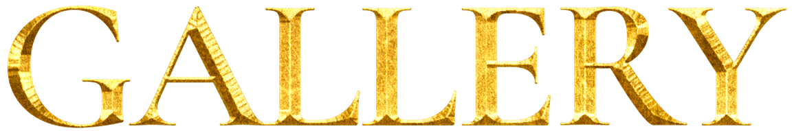 Asia's Modern Hero Awards